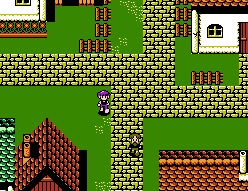 Crystalis - Nintendo Entertainment System